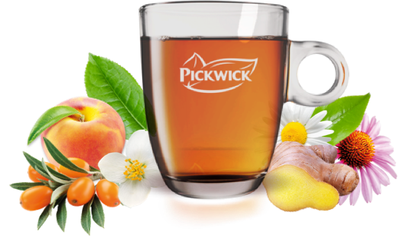 Чай трав'яний з вітамінами | Pickwick UA